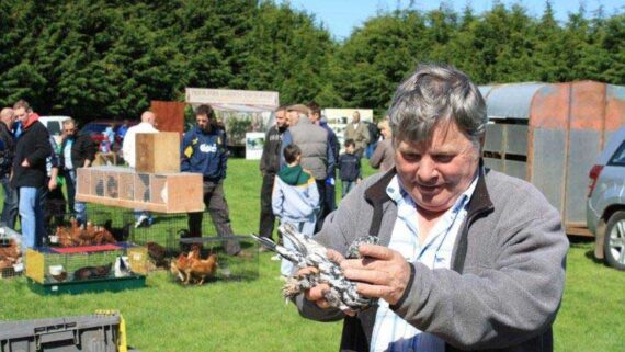 Welcome to Larchill Arcadian Garden, Ireland | Larchill